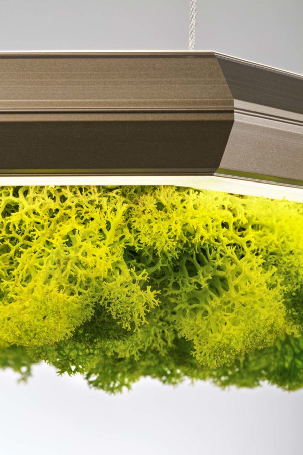 Olev illuminates the home of the future: the Biosphera project | Olev